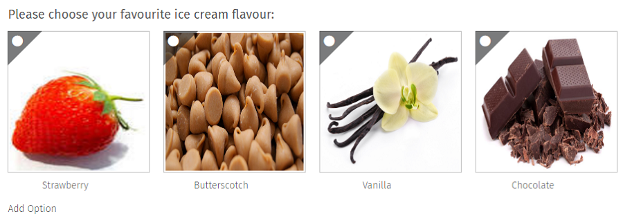 Perguntas básicas | QuestionPro Base de conhecimento