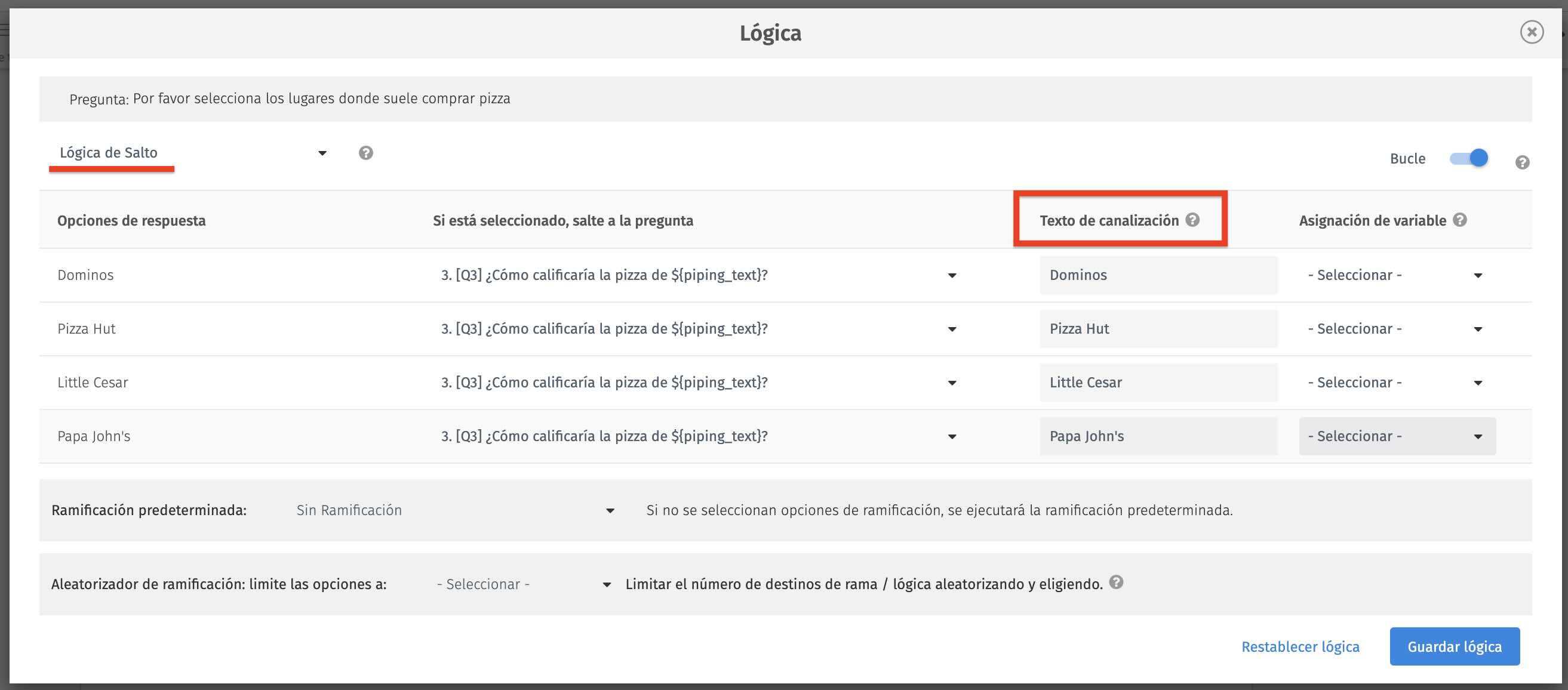 Texto de canalización o piping text | QuestionPro Centro de Ayuda
